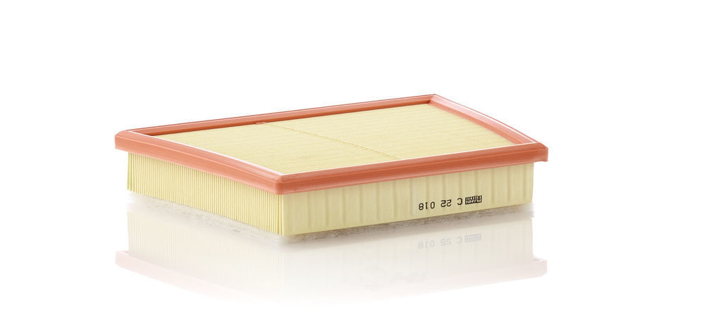 MANN-FILTER C22018 Filters - Air Filter for sale online | eBay