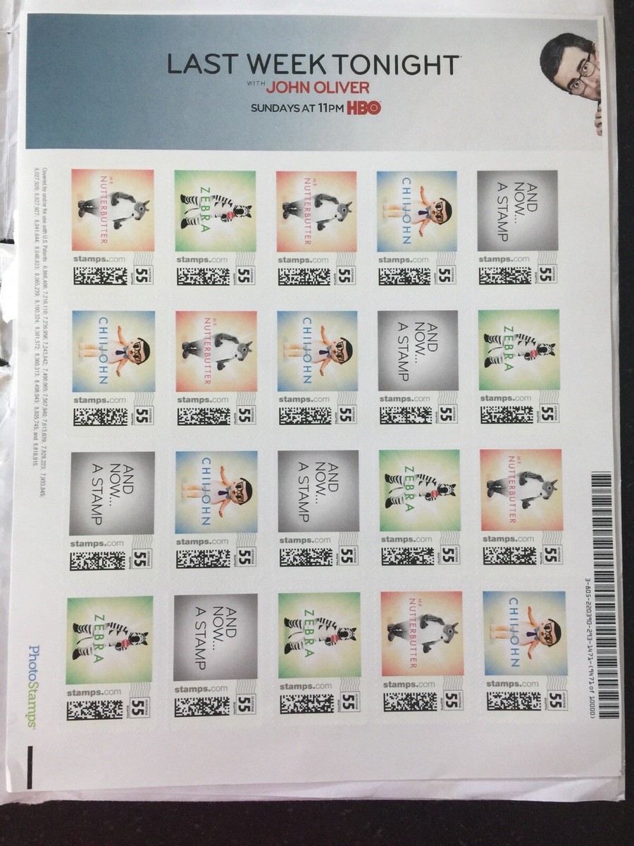 Zebra Movie John Oliver