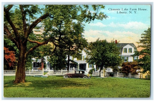 c1920 Scenic View Clements Lake Farm House Liberty New York NY Unposted ...