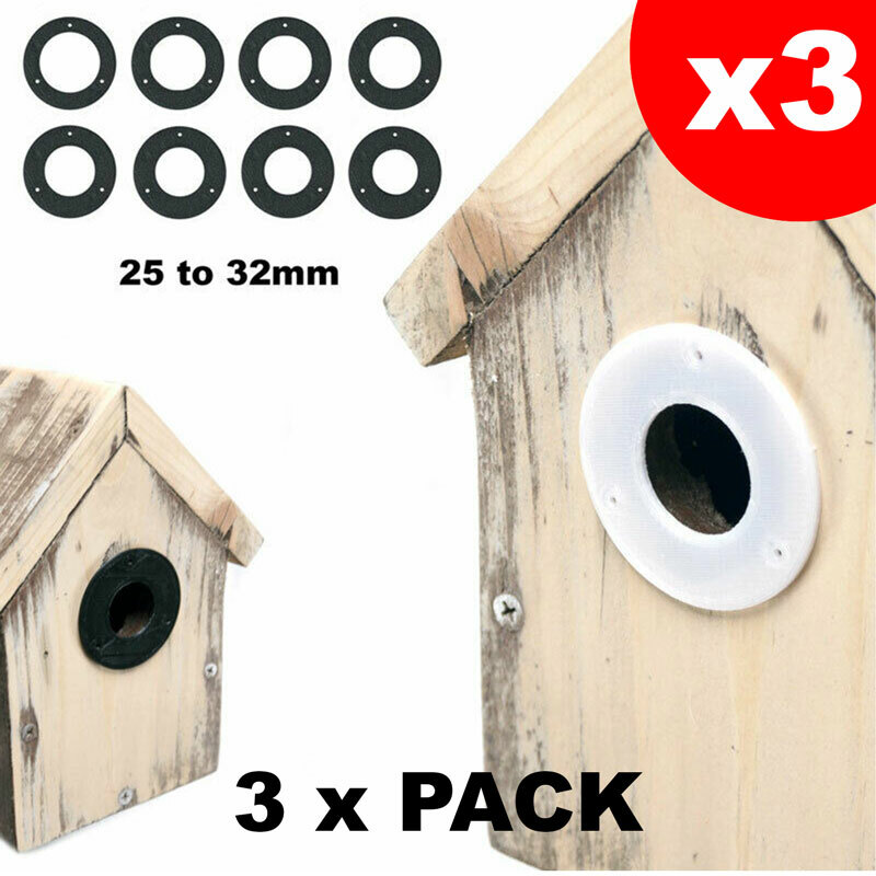 25 Bird In Nest Baby Birds – WildLIFE