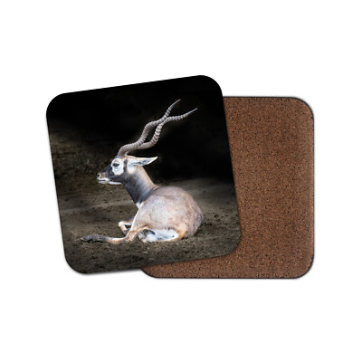 Beautiful Wild Blackbuck Coaster - Indian Antelope Animals Cool Goat ...