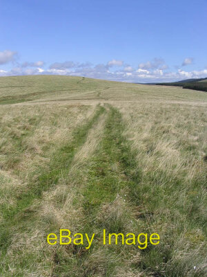 Photo 6x4 A grass track on Grey Hill Munshiel Hill Munshiel Hill is in ...