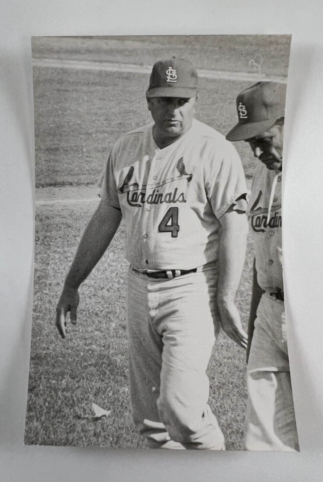 Billy Muffett St. Louis Cardinals Vintage Baseball Postcard PCSC | eBay