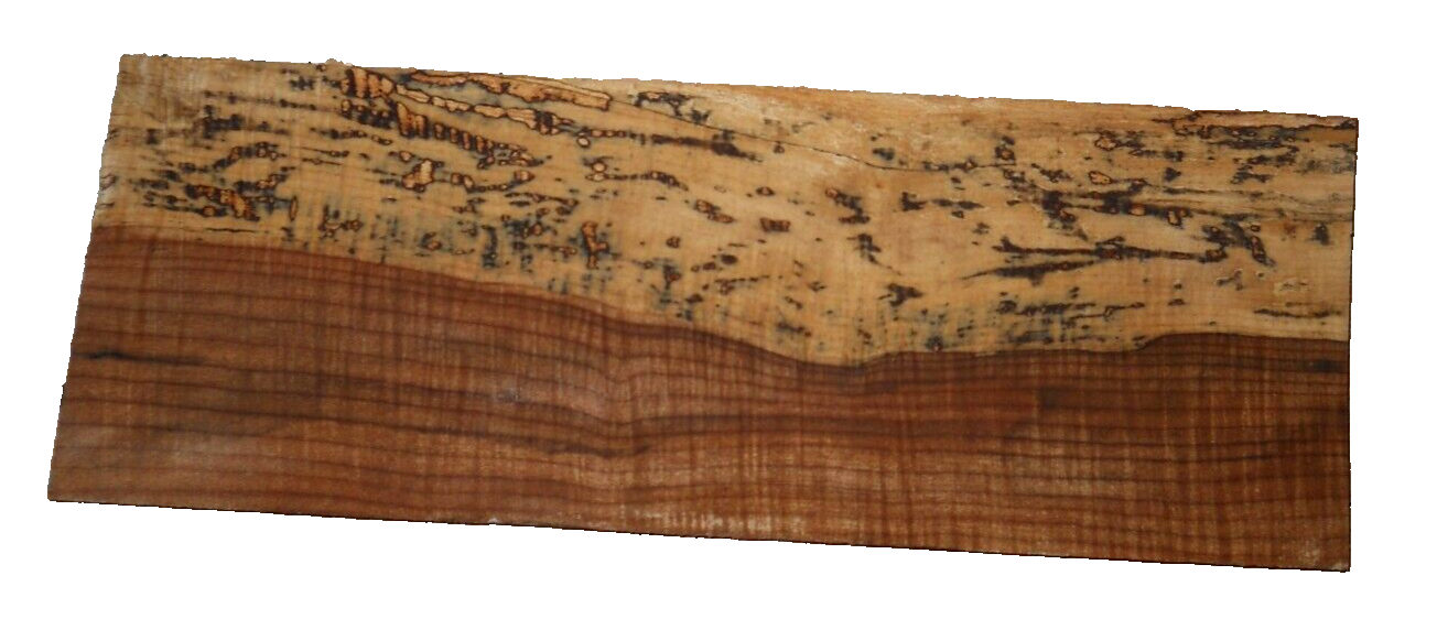 FIDDLEBACK SPALTED MAPLE SLAB TURNING CRAFTING WOODWORKING APPROX 18x6 ...