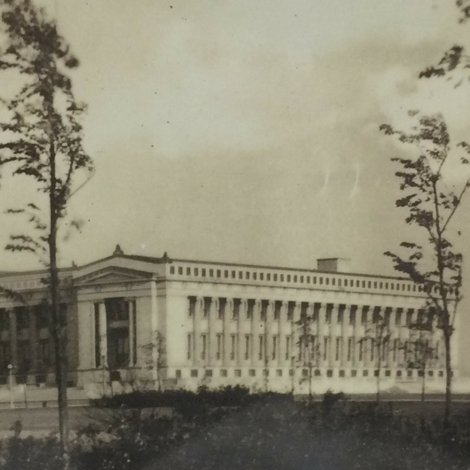 Vintage Real Photo Postcard Chicago Illinois Museum Scene Grogan | eBay