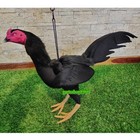 Handcraft Rooster Silicone Doll Figurine Exercise Fighter Collectibles ...