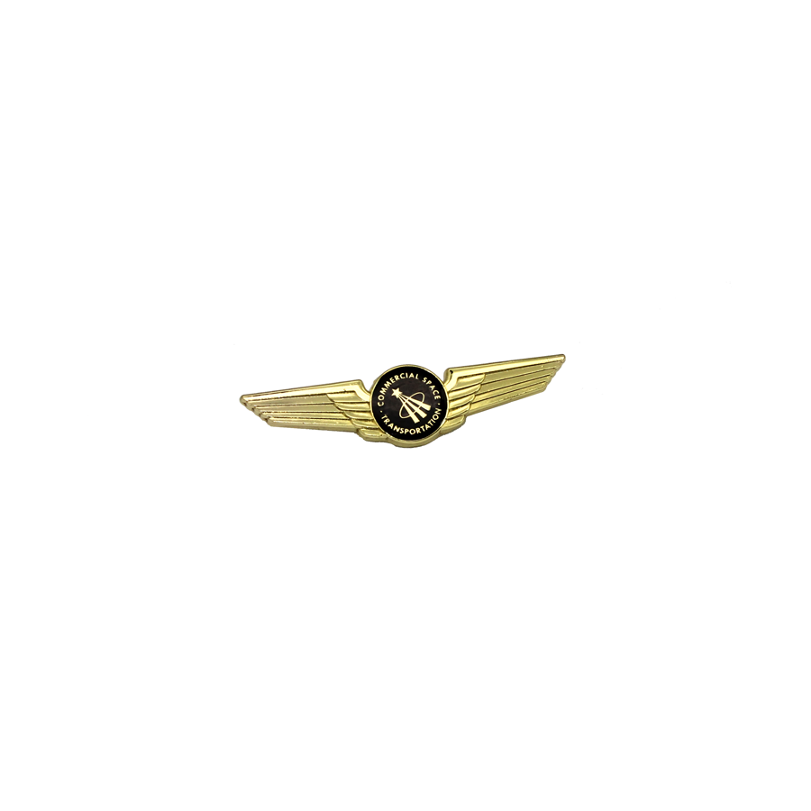 Nasa Astronaut Wings Logo