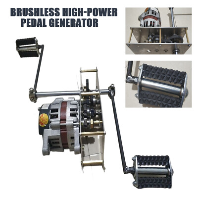 12V 24V 2000W 220V AC brushless high-power pedal generator DC battery ...