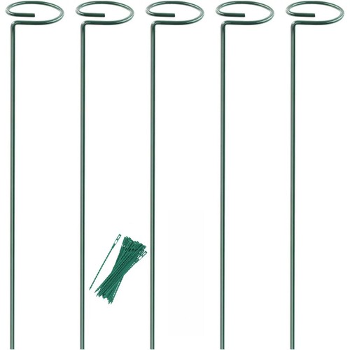 5 pcs Plant Support Stakes Garden Flower Veg Single Stem Support Stake ...