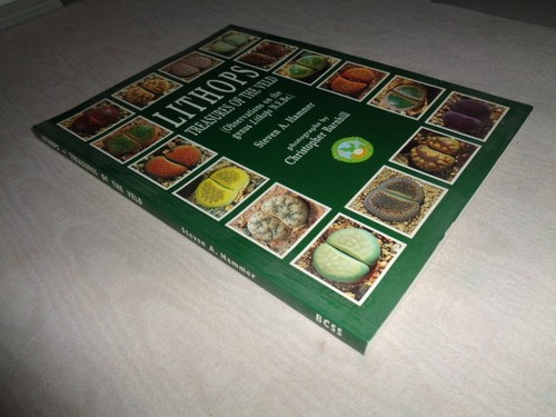 Lithops: Treasures of Loveliness by Steven Hammer (Paperback, 1999 ...