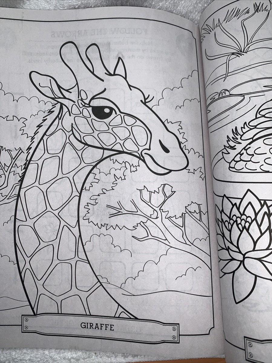 Coloring Pages From Animal Kingdom