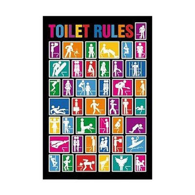 TOILET RULES - FUNNY POSTER 24x36 - COLLEGE DORM 1601 | eBay