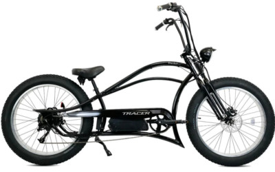 26" Fat Tires 800W Throttle 7 Speed Stretch e-Bike Dual Springer Fork ...