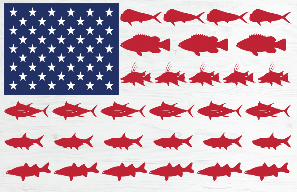 USA Fish Flag sign with Framed Border | eBay