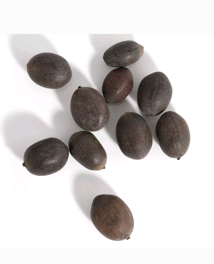 (10 BLUE) Aquatic Hardy Water Lily Bonsai Lotus Seeds # Set 1 | eBay