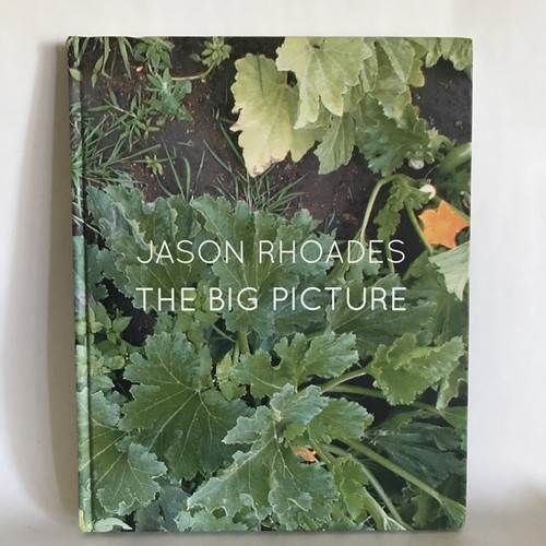 JASON RHOADES: THE BIG PICTURE By Paul Mccarthy & Eva Meyer-hermann ...