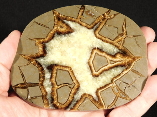Lighting Like Pattern! Polished SEPTARIAN Nodule Slab With Stand From ...