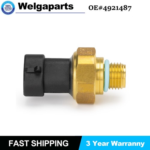 1x 3080406 3083716 4921487 For Cummins N14 M11 ISX PS398 New Oil ...