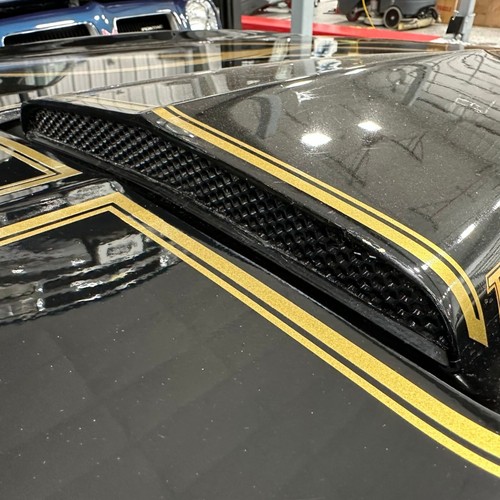 1977 Firebird Trans Am Shaker Scoop Insert-Grill - (Fits '77 Only) | eBay