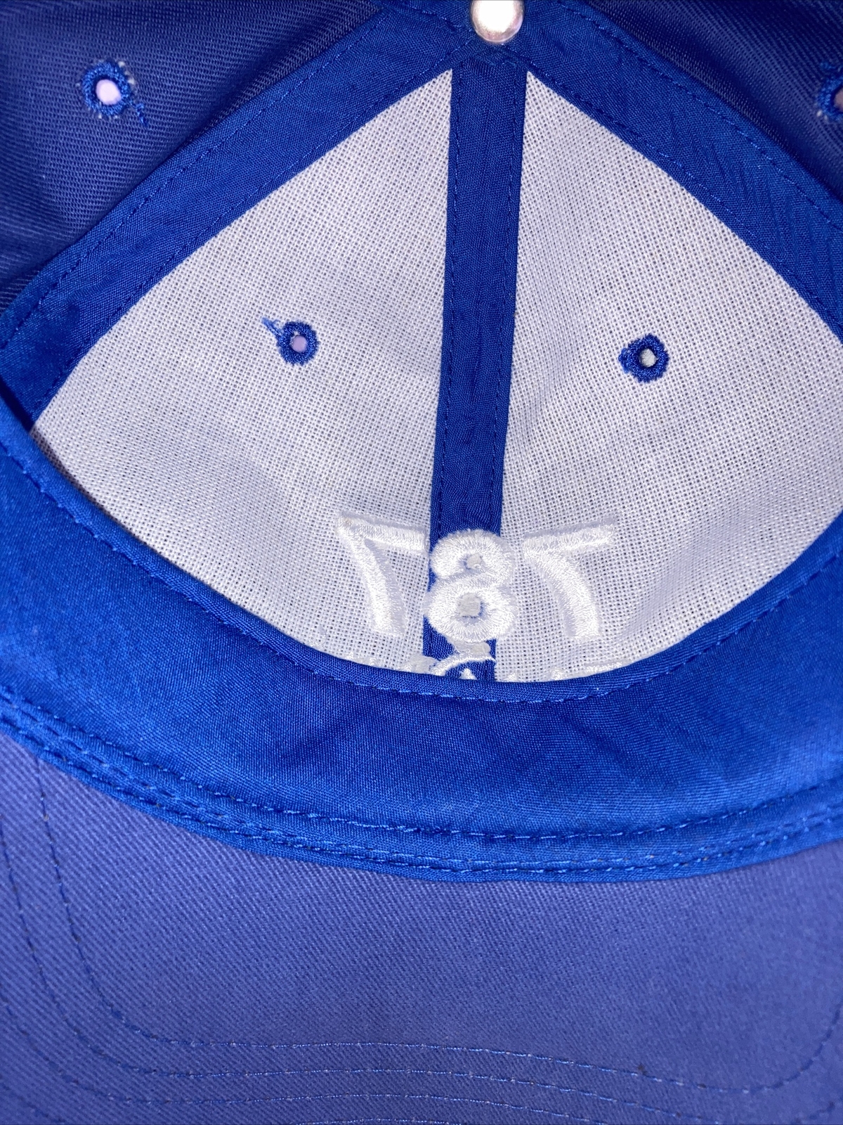 Boeing 787 DREAMLINER Hat Cap Adjustable Strapback Official Boeing ...