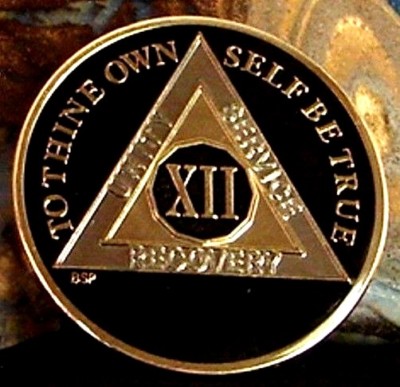Black Alcoholics Anonymous AA 12 Year Medallion Coin Chip Token ...