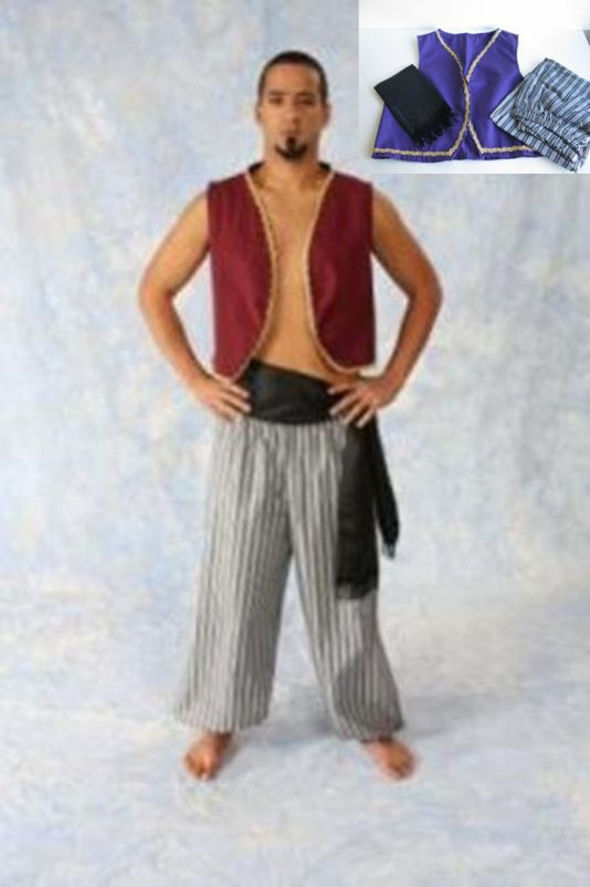 SINBAD ALADDIN GENIE SHEIK SULTAN DESERT PRINCE ARABIAN ADULT COSTUME ...