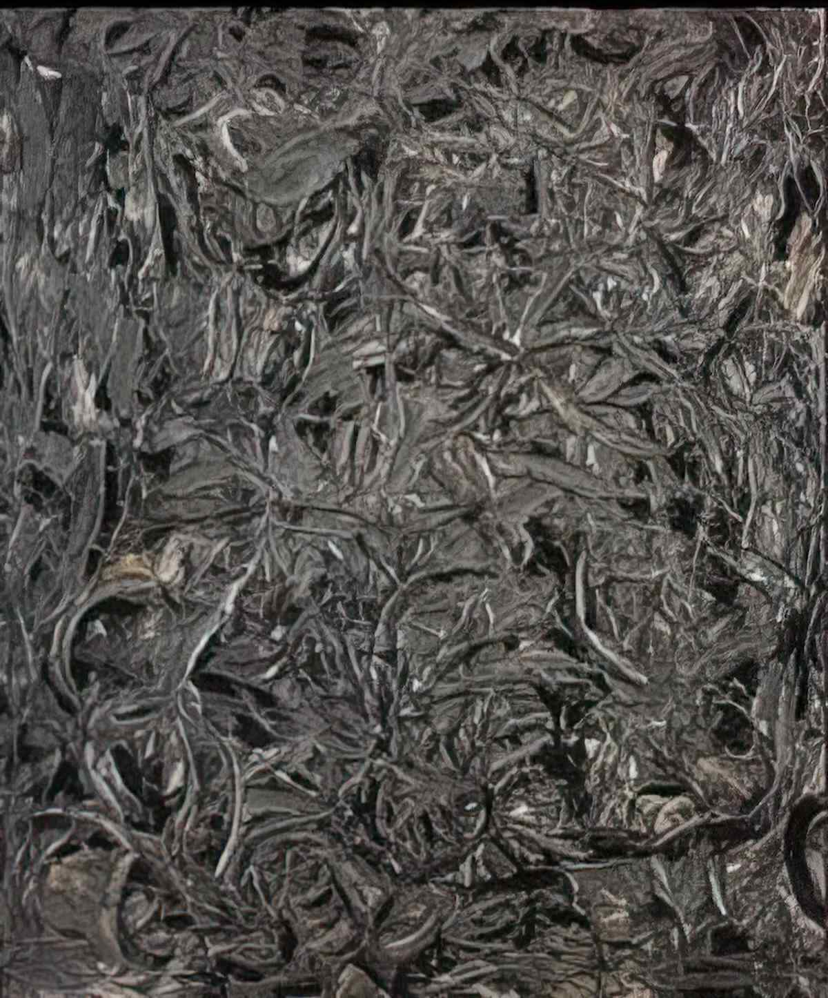 Jackson Pollock A4 Photo eyes in the heat ii1 | eBay