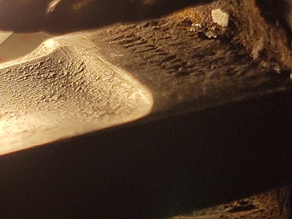 SCARCE! Bavarian/German Lions Head King Maximilian the 2nd Honor Guard ...