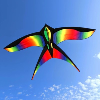 Good Flying Large Bird Kites 1.7m Children Kites Kid & Adult | eBay ...