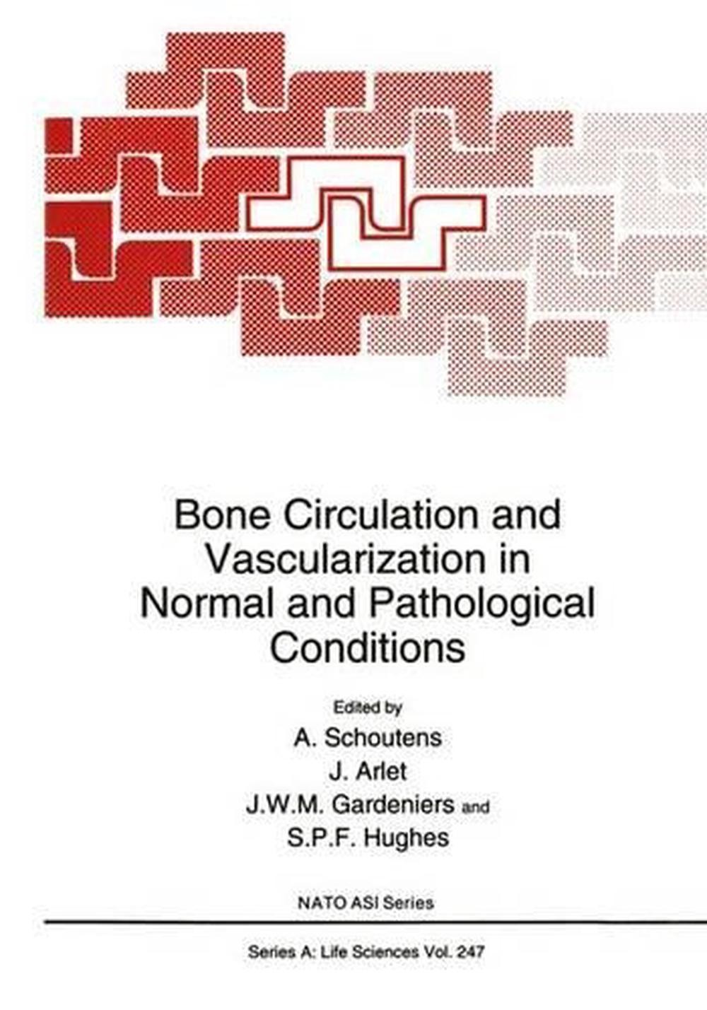 Bone Circulation and Vascularization in Normal and Pathological ...