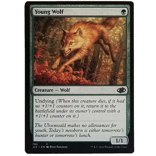 x1 Young Wolf J22 MTG M/NM Common Green Creature Wolf Jumpstart 2022 ...