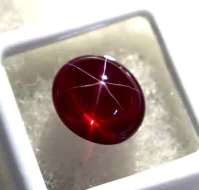 6 Rays Red Star Ruby 9.65 Ct Natural Burma Oval Cut Cabochon Loose ...