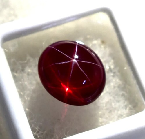 6 Rays Red Star Ruby 8 Ct Natural Burma Oval Cut Cabochon Loose ...