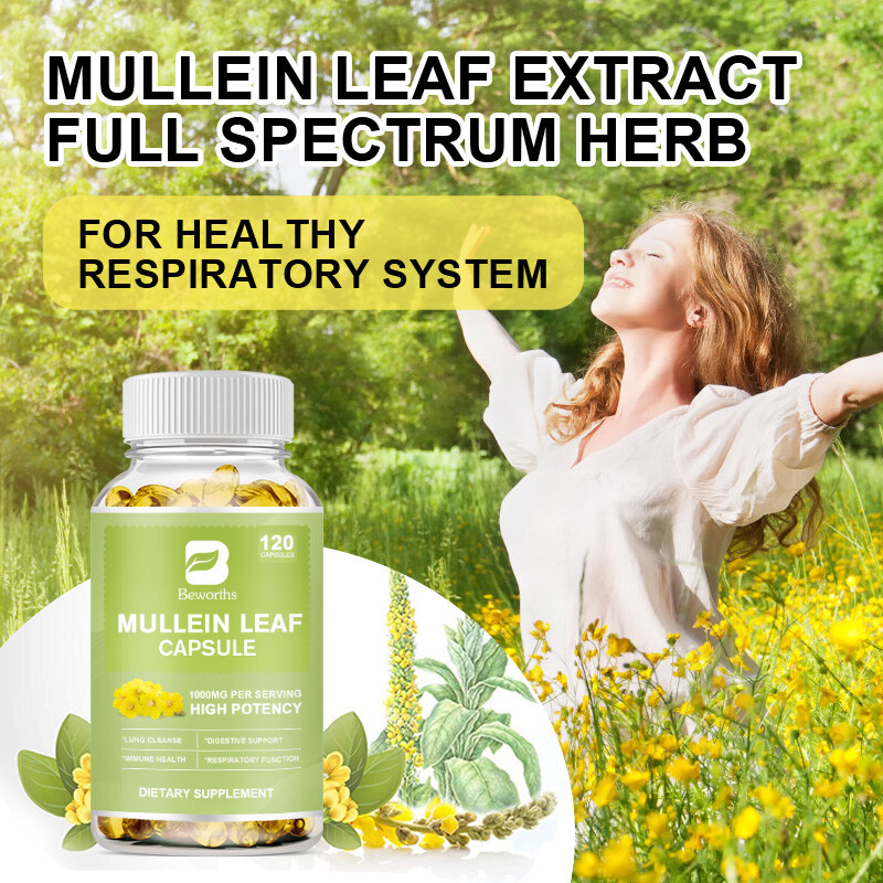 Mullein Leaf Capsules For Lung Cleansing & Detox Herbal Dietary ...