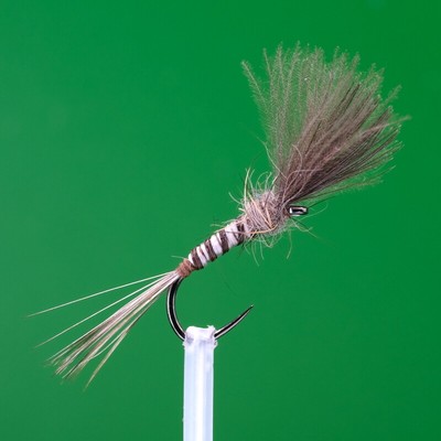 Set 3 or 6 Peacock Eye Quill CDC Emergers Dry Fly Fishing Barbless ...