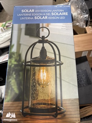 Evergreen Enterprises Solar LED Edison Lantern | eBay
