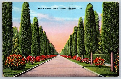 Postcard Australian Pines of Wells Road Palm Beach Florida 1949 B3 | eBay
