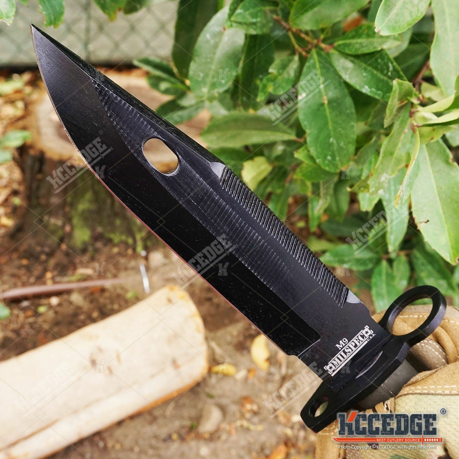 12.75" M9 BAYONET SURVIVAL Knife + Scabbard w/ Saw Back Wire Cutter | eBay