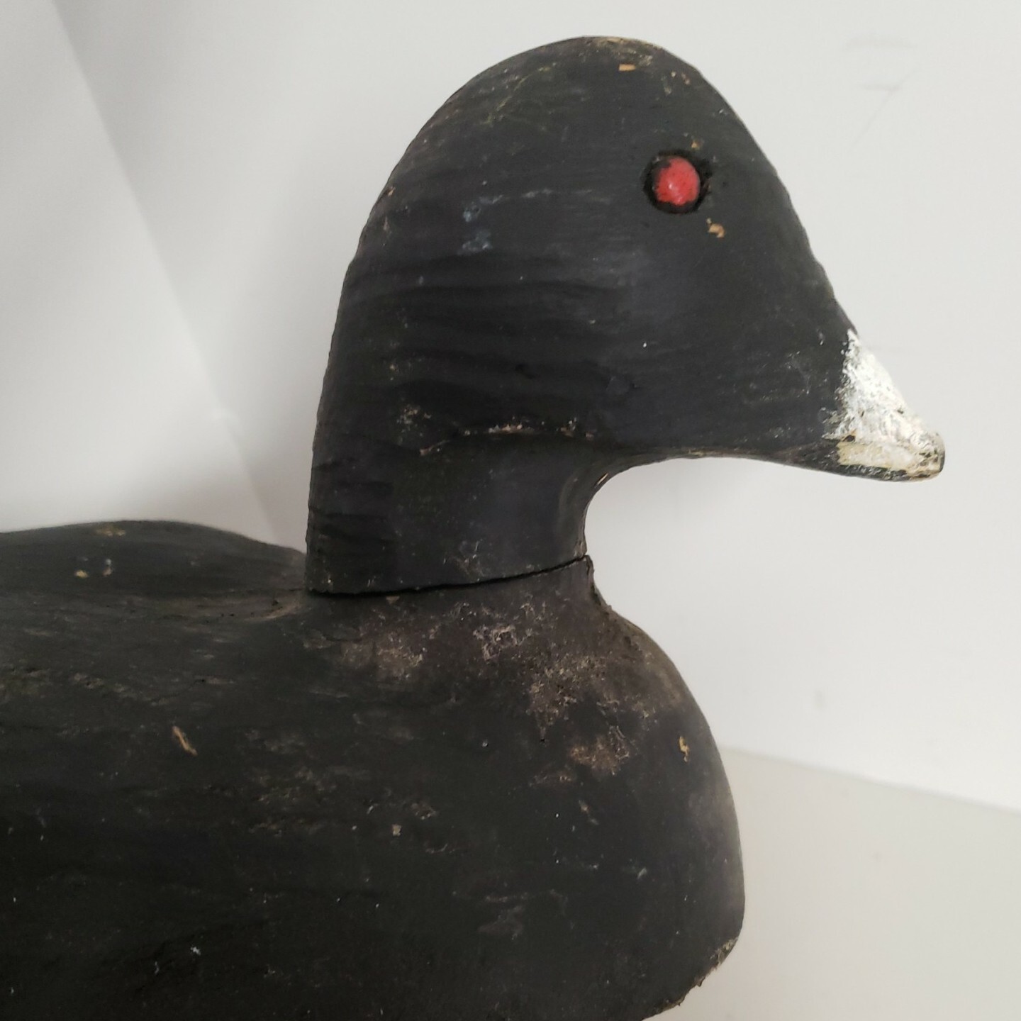 HERTERS VINTAGE DUCK DECOY AMERICAN COOT BALSA BODY 12" (STAND NOT ...