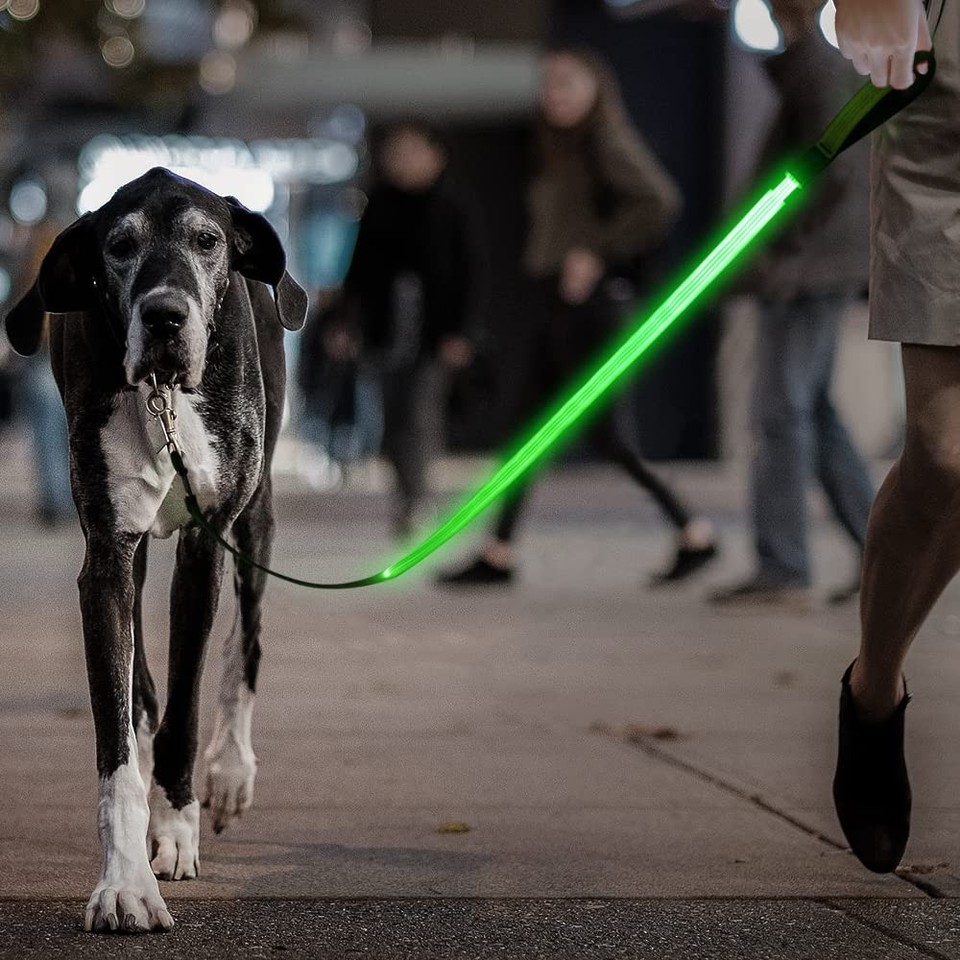 Glowing LED Dog Leash - USB Rechargeable Pet Dog Leashes 4 Ft Lighted ...
