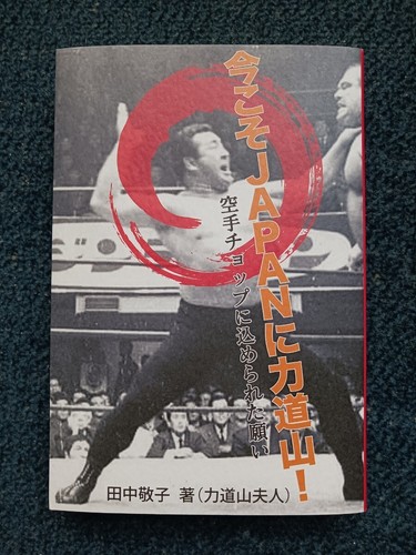 Rikidoyama Japan Karate Chops Toy Classic Used Japan ZZ3 | eBay