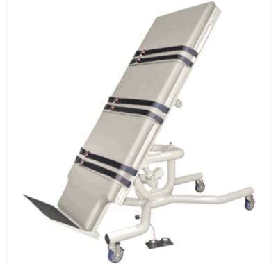 Tri W-G Heavy Duty Electric Tilt Table, GREY COLOR | eBay