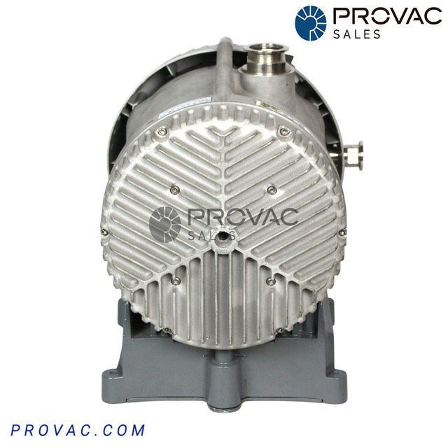 Edwards Xds35i Dry Scroll Vacuum Pump for sale online | eBay