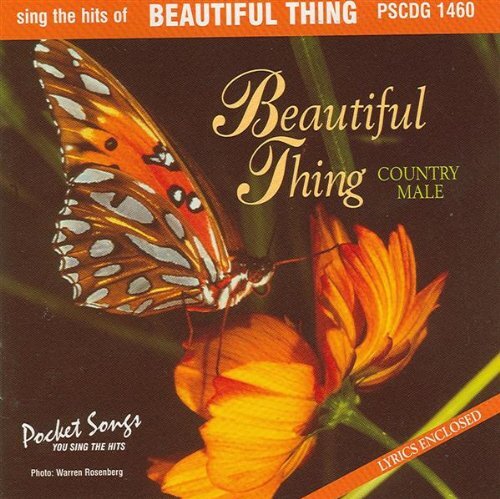 Beautiful Thing, Karaoke: Beautiful Thing, Audio CD 77712814607| eBay