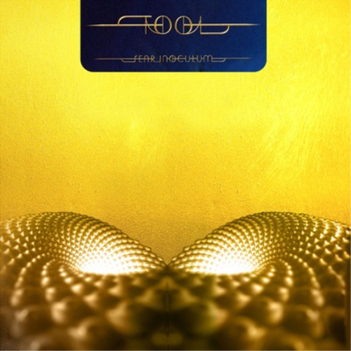 Tool Fear Inoculum (Vinyl) Limited 12" Album Box Set 194399502013 | eBay