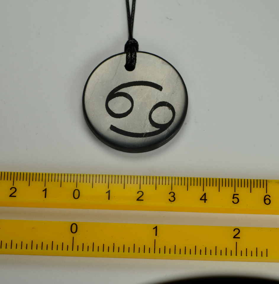 Shungite Emf Protection Necklace EMF Jewelry Pendant Zodiac Cancer ...