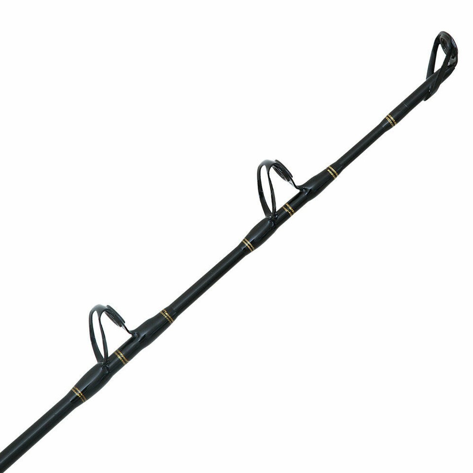 Penn Ocean Assassin Game Series Overhead Rod 6' 15 Kg 1495256 1 Piece ...