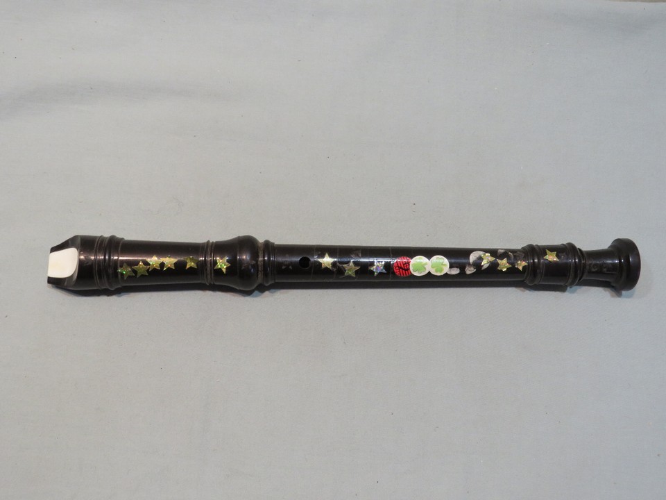 Gill Recorder Plastic Musical Instrument | eBay