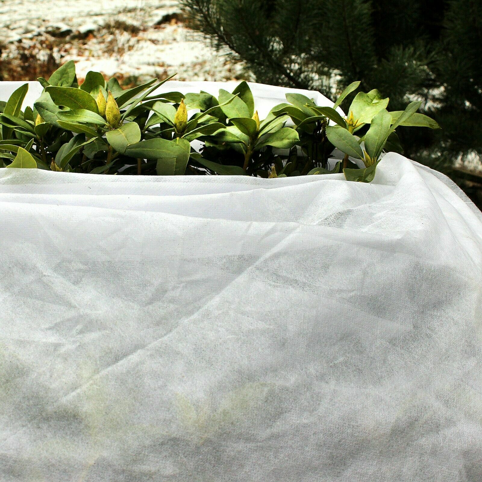 Frost Fleece Plant Protection Garden Cover Horticultural Protective ...