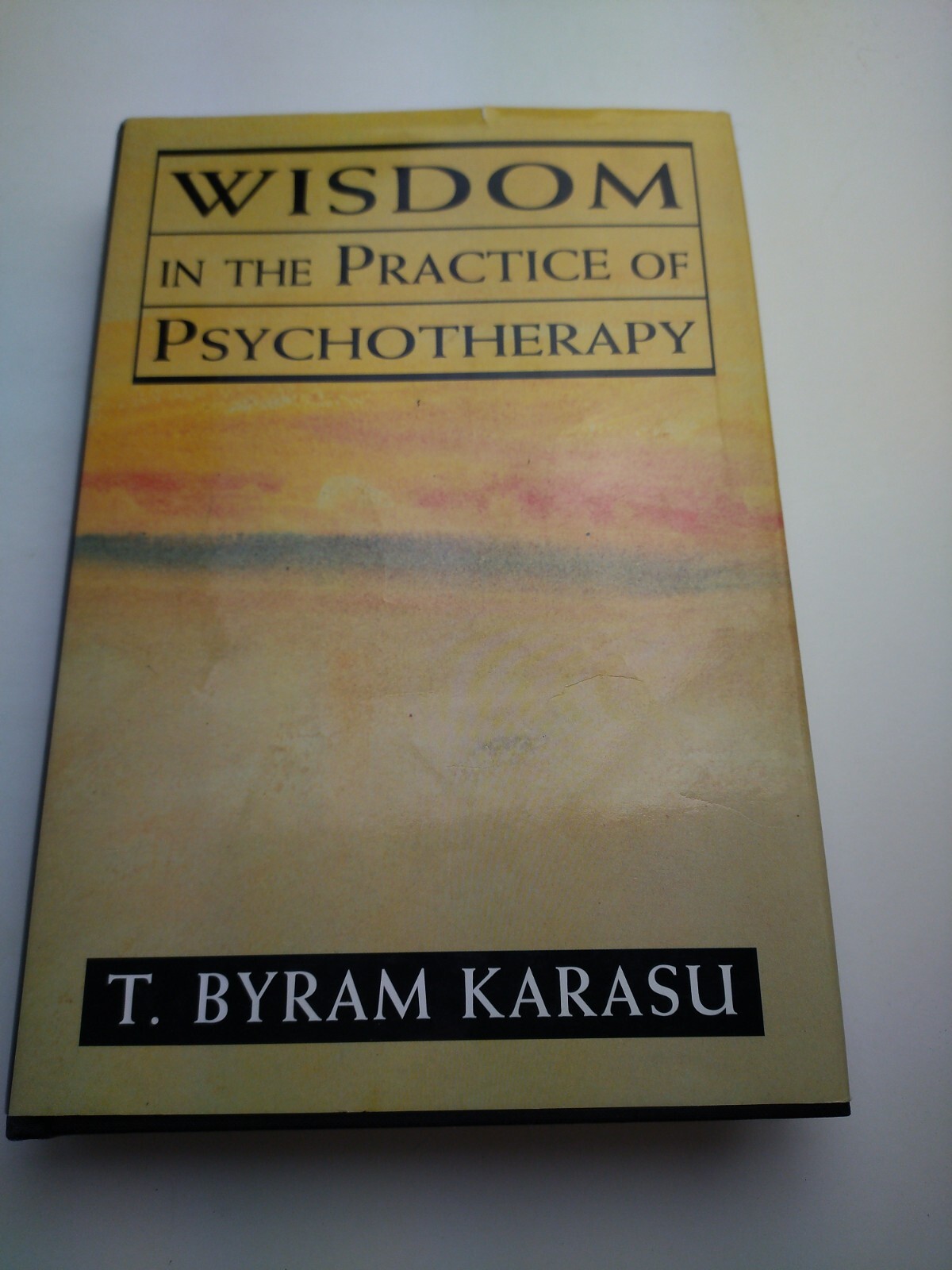 Wisdom in the Practice of Psychotherapy by T. Byram Karasu (2001 ...